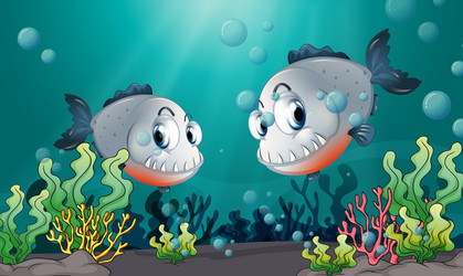 Two Fish Drawing Vector Images (over 1,100)