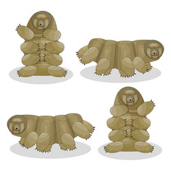 Brown isolated happy quirki cute cartoon Vector Image
