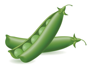 Green peas in a pod Royalty Free Vector Image - VectorStock