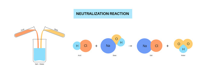 Reaction neutralization poster Royalty Free Vector Image
