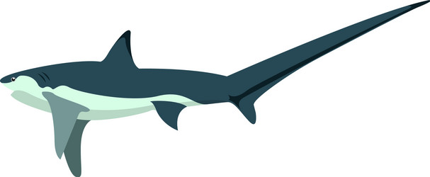 Shark Tail Vector Images (über 3,900)