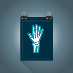 Skeleton scan Royalty Free Vector Image - VectorStock