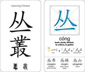 Learning chinese characters how to write hei Vector Image