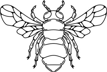 Cartoon bee thin lines collection isolated on whit