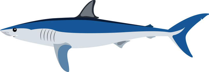 Mako Shark Vector Images (over 110)