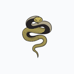 Cartoon python Royalty Free Vector Image - VectorStock