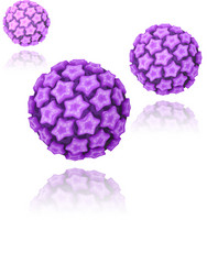 Human papillomavirus hpv Royalty Free Vector Image