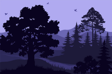 Wood Violet Vector Images (over 950)