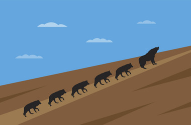 Wolf Pack Vector Images (over 1,000)