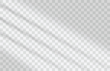 Square transparent background seamless pattern Vector Image