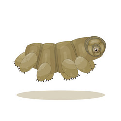 Brown isolated happy quirki cute cartoon Vector Image