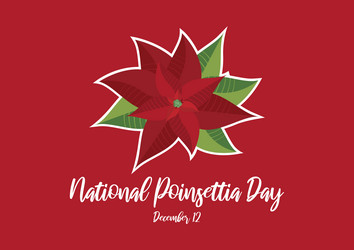 National poinsettia day poster Royalty Free Vector Image