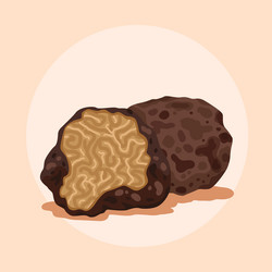 Hand drawn truffle Royalty Free Vector Image - VectorStock