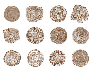 Wooden log cut Royalty Free Vector Image - VectorStock