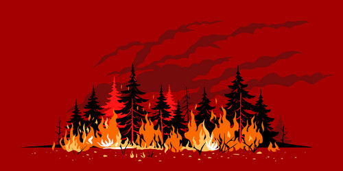 Forest fire poster Royalty Free Vector Image - VectorStock