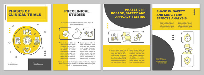 Phases of clinical trials blue brochure template Vector Image