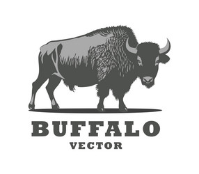 Buffalo Vector Images (over 39,000)