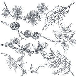 Set of hand drawn ink sketch spring branches Vector Image