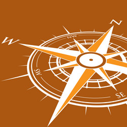Orange compass Royalty Free Vector Image - VectorStock
