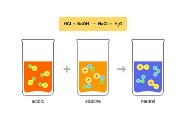 Reaction neutralization poster Royalty Free Vector Image
