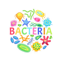 Classification Bacteria Royalty Free Vector Image
