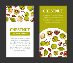 Chestnut plant banner design with brown fruit Vector Image