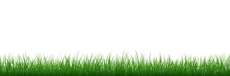 Grass Texture Vector Images (over 28,000)