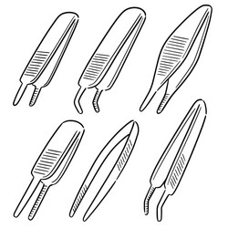 Set of forceps Royalty Free Vector Image - VectorStock