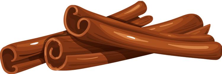 Three brown cinnamon sticks Royalty Free Vector Image