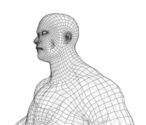 Human Body Wire Mesh Vector Images (over 440)