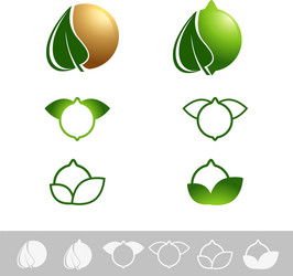 Macadamia Logo Vector Images (over 610)