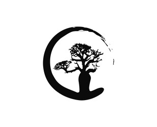 Boab Vector Images (74)