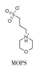 Hepes buffering agent molecule skeletal formula Vector Image