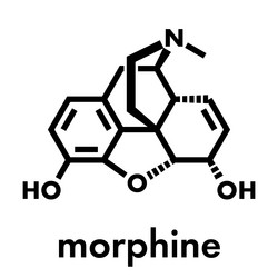 Morfin Vector Images (18)