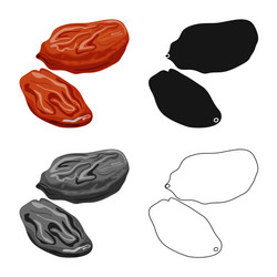 Isolated object raisin and dry symbol set Vector Image