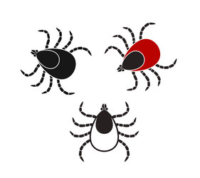 Mite Vector Images (over 5,000)