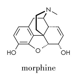 Morfin Vector Images (18)