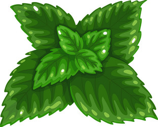 Mint Cartoon Vector Images (over 9,300)