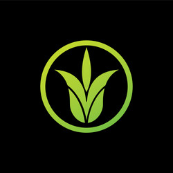 Green plant root o2 oxygen nature symbol logo Vector Image