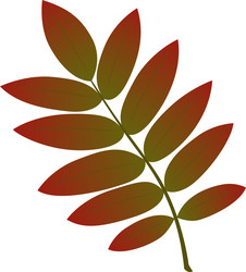 Rowan Tree Vector Images (over 6,800)