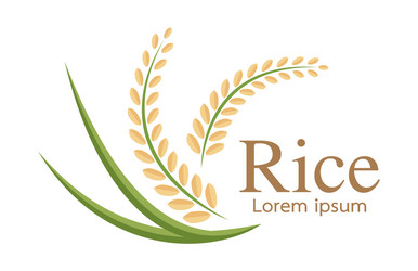 Grain organic natural product rice icon design Vector Image