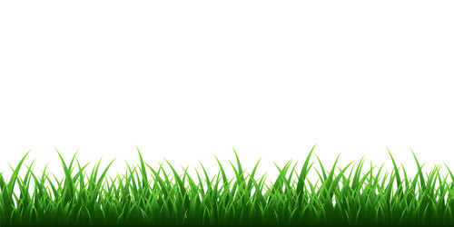 Spring grass seamless border floral Royalty Free Vector