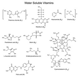 Vitamin c structural formula of molecular Vector Image