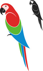 Parrot Vector Images (over 31,000)