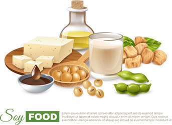 Collection of soy products on white background Vector Image