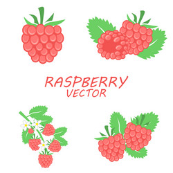 Raspberry fruit set cartoon Royalty Free Vector Image