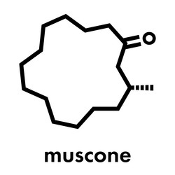 Linalool scent molecule skeletal formula Vector Image