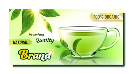 Green tea creative promo advertising poster Vector Image