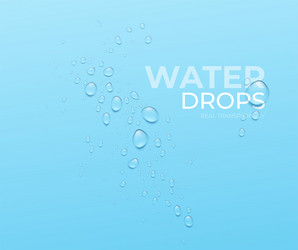 Pure rain drops realistic set cold water drip Vector Image