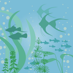 Aquarium Fish Vector Images (over 60,000)